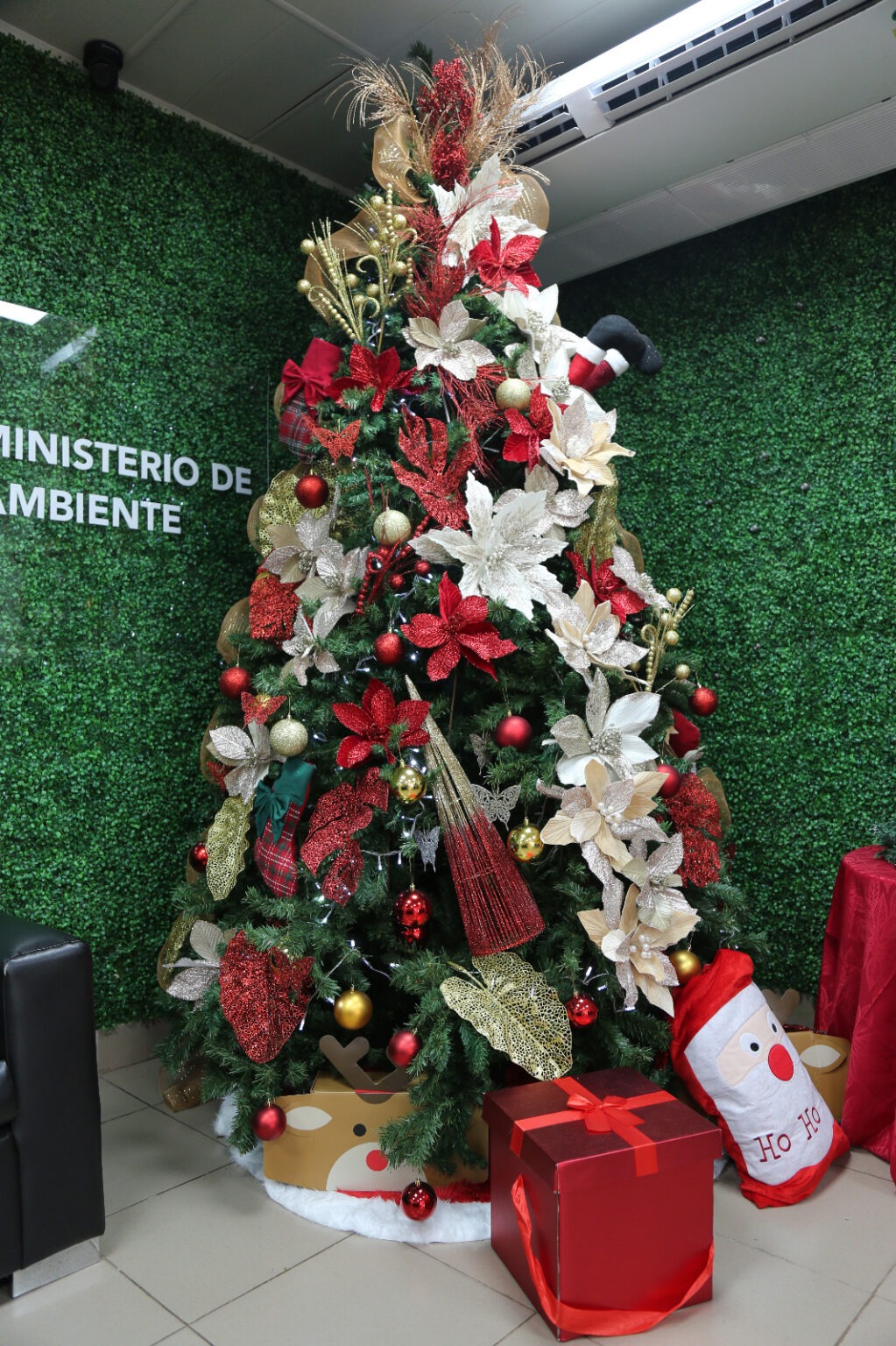 Del 7 al 11 de enero, MiAMBIENTE y la AAUD iniciarán la recolección de ...